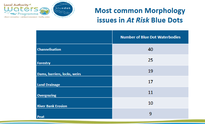 Blue Dot Waterbodies in Wicklow – Useful Data for Irish River ...