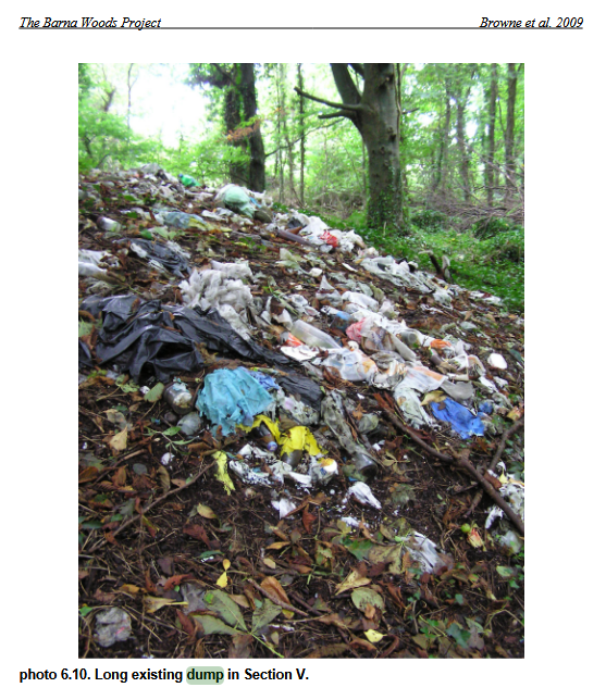 Historic illegal dumping, Barna Woods, Galway – Useful Data for Irish ...