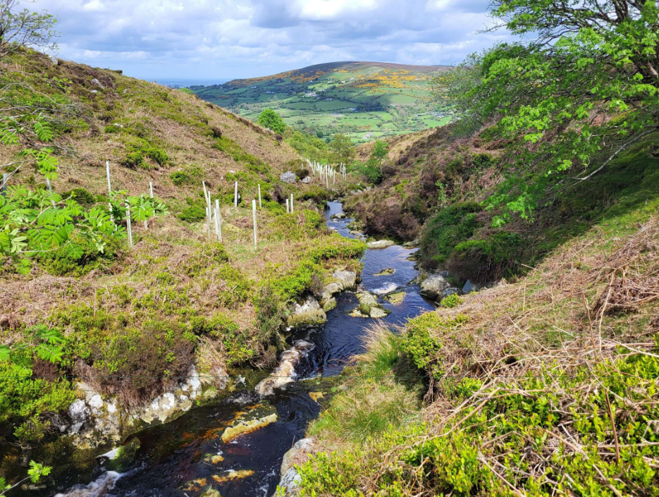 Glenasmole Valley – Useful Data for Irish River Conservation / Water ...